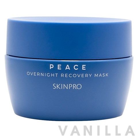รีวิว Skinpro Overnight Recovery Mask | V A N I L L A